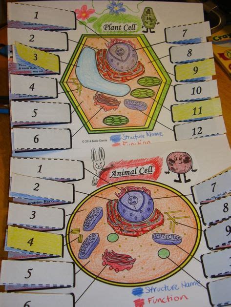 9 Lapbook Ideen In 2021 Lapbook Vorlagen Lapbook Ideen Vorlagen