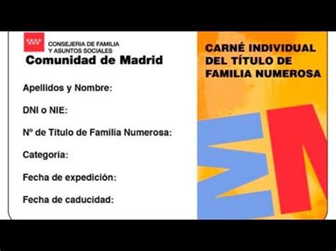 Renovaci N De T Tulo De Familia Numerosa En Madrid Gu A Pr Ctica Y