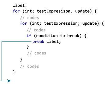 Java Break Statement With Examples