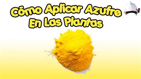 Cómo aplicar Azufre en las plantas YouTube