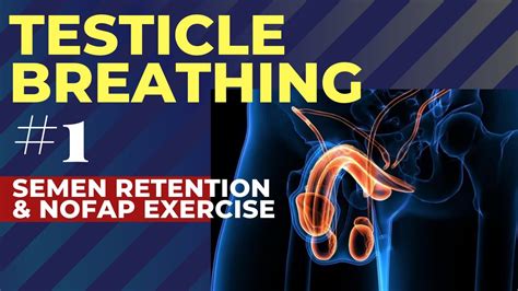Testicle Breathing 1 Semen Retention NoFap Exercise Cool Draw
