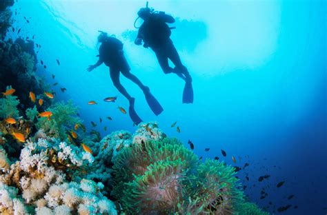 Le 5 barriere coralline più belle del mondo Tuffati con noi