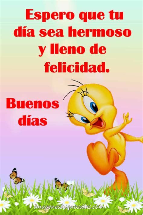 Piolin Con Frases Frases de Piolin v Memes Amino Español Amino