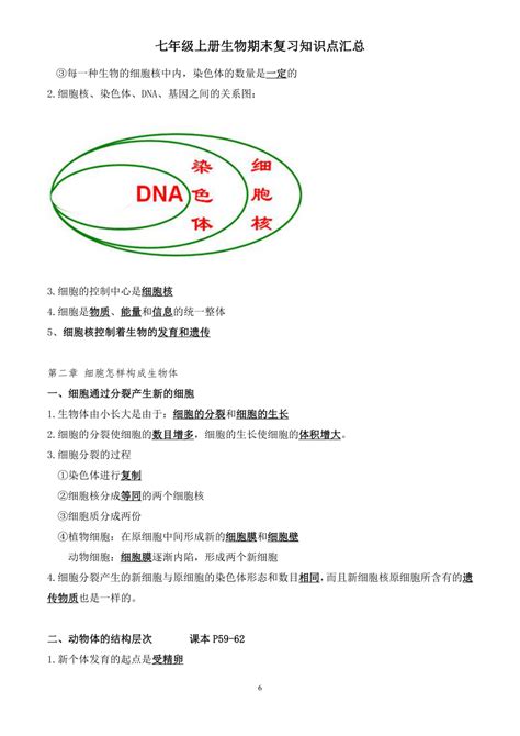 人教版七年级生物上册期末复习知识点1下载 17页 七年级 果子办公