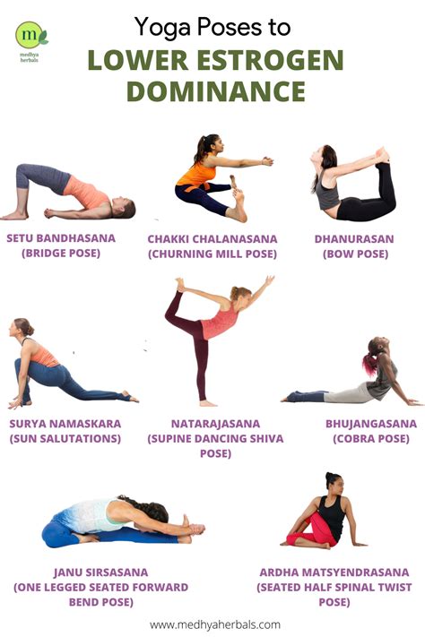 Everything You Need To Know About Estrogen Imbalances Artofit