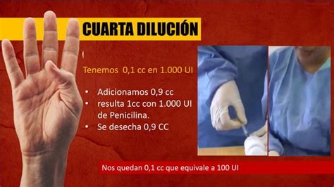 Prueba De Sensibilidad A La Penicilina PPT
