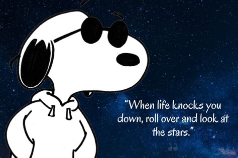 Best Uplifting Snoopy Quotes That Make Your Day