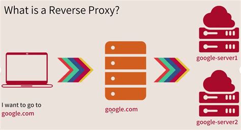 python networking security virtualization fundamentals forward proxy vs reverse proxy server