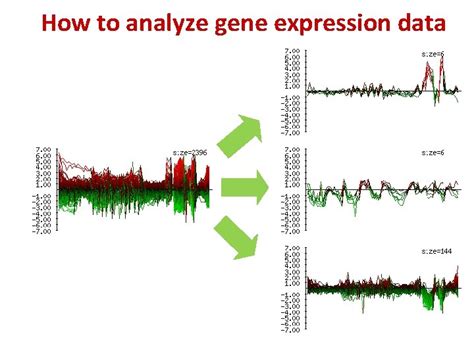 tutorial 7 gene expression analysis 1 gene expression