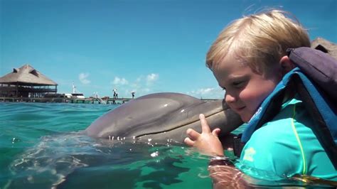 Swim Adventure By Dolphin Discovery Youtube