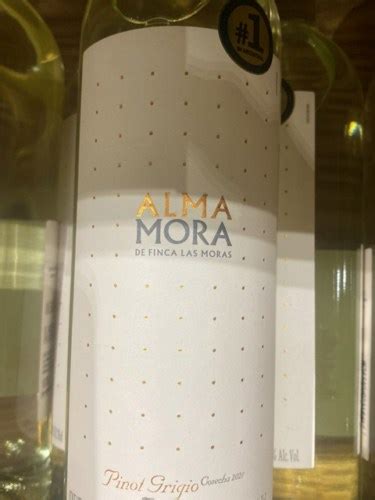 2021 Bodega Finca Las Moras Alma Mora Pinot Grigio Vivino US