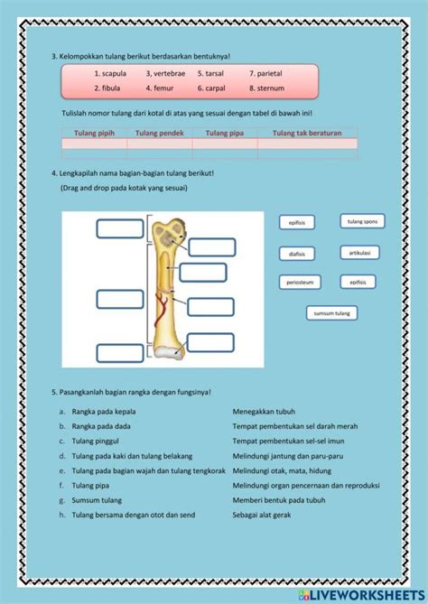Sistem Gerak Pada Manusia Pdf