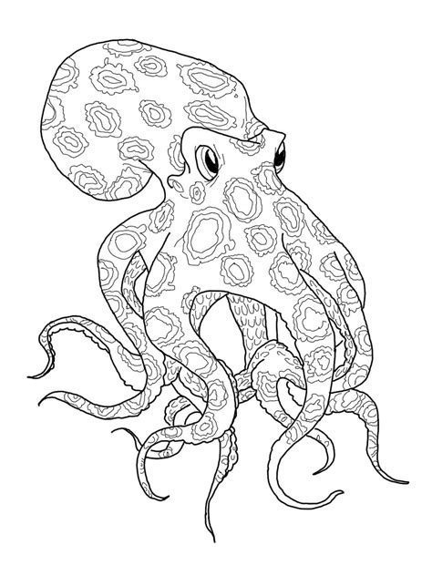 Desenhos De Polvo Normal Para Colorir E Imprimir Colorironline The