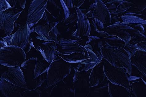 Dark Blue Aesthetic Tumblr Android Iphone Navy Blue Aesthetic Hd
