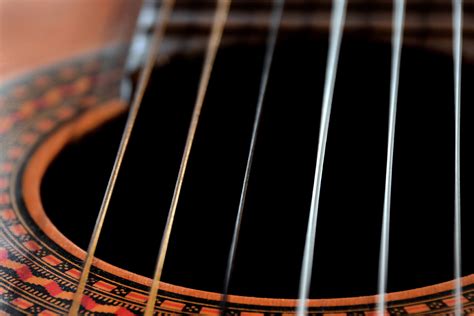 Fotos gratis guitarra acustica color músico instrumento musical