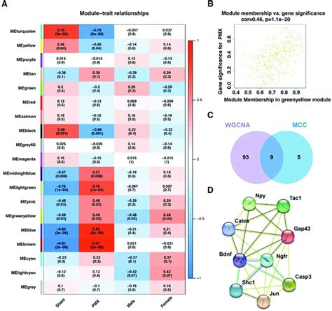 pos0361 comprehensive transcriptomic characterization reveals core genes and modules associated