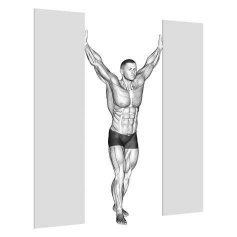 4 Best Rotator Cuff Shoulder Impingement Exercises With Pictures