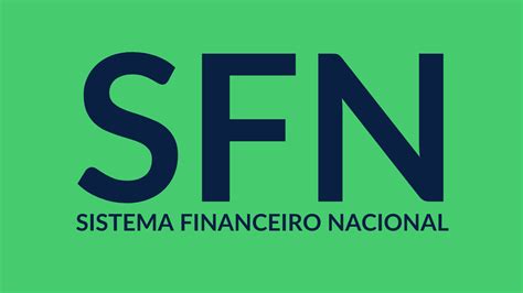 Infográfico Sistema Financeiro Nacional O que é e Estrutura