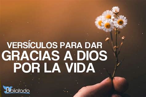 9 VERSÍCULOS PARA DAR GRACIAS A DIOS POR LA VIDA