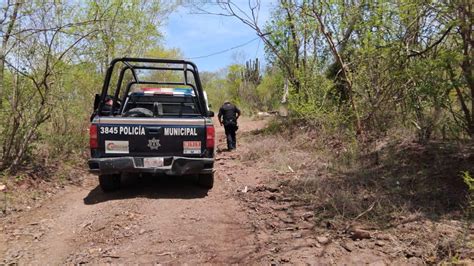 Hallan Cad Ver En Camino De Terracer A En La Salida Sur Ten A Heridas