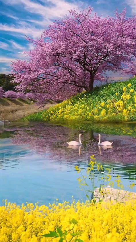 Pin de Jardins do Ser em Pins criados por você Lindas