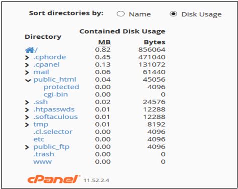 CPanel Disk Usage