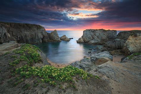 Tierra Costa Costa Flor Horizonte Océano Mar Puesta de sol