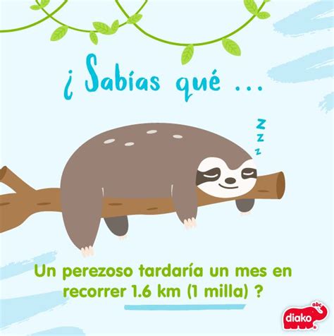 Pin de Diako Abc en Datos Curiosos para Niños Descripcion de animales