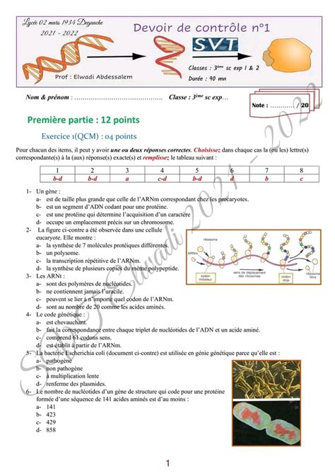 3 ème Sc expérimentales Sciences SVT Devoir de contrôle n1 3ème sc exp