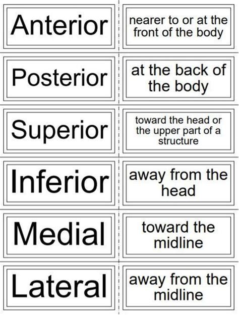 Pin By Theresa Grimes On Medical Terminology In 2024 Medical School
