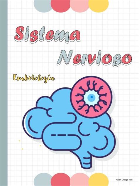 SISTEMA NERVIOSO EMBRIOLOGÍA Naian Ortega uDocz