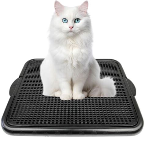 Tapete Higiênico Para Gatos Coletor Areia Anti Sujeira Gato Shopee Brasil