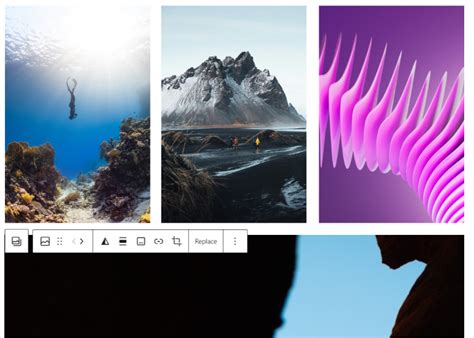 C Mo Crear Una Galer A De Im Genes En Wordpress Con Y Sin Complemento