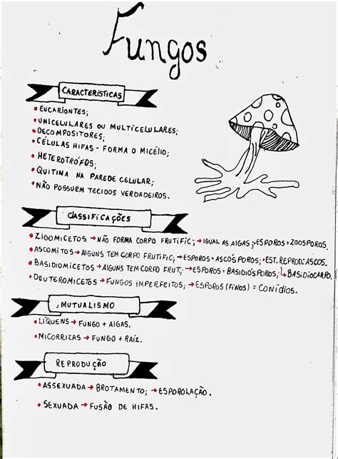 Mapa Mental De Fungos FDPLEARN