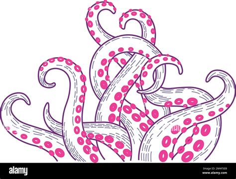 Pulpo tentáculos de dibujos animados color vector ilustraciones bordado