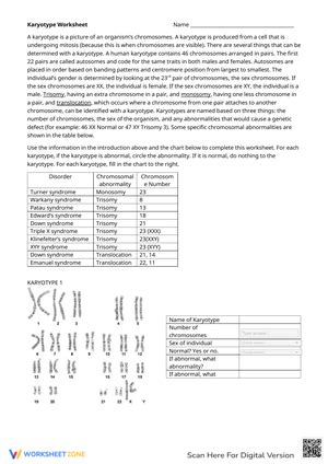 Free Karyotype Worksheet With Answer Keys For Students