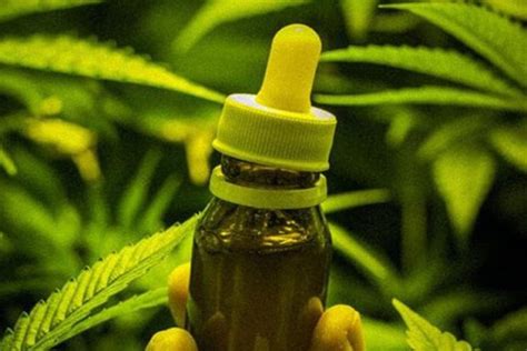 Cannabis Medicinal Pode Aliviar Sintomas Da Menopausa Entenda Portal