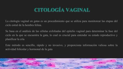 histología vaginal exposición básica pptx
