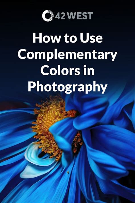 How To Use Complementary Colors In Photography