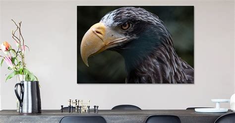 Roofvogel Van Andre Michaelis Op Canvas Behang En Meer