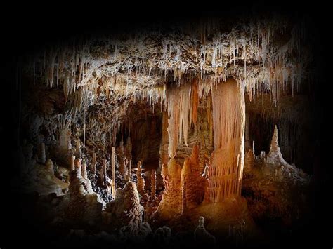 Grotte De Clamouse Accueil Roussillon Cave Painting