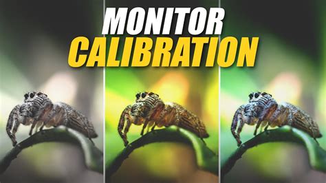 The Quick Easy Way To Calibrate Your Monitor For Photography YouTube