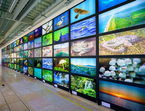 Inaugura Claudia Sheinbaum Barco Utopía el acuario digital más