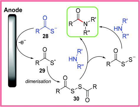 Amide Synthesis Mechanism