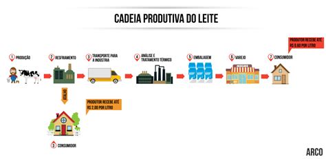 Os processos de produção no campo e na cidade Planos de aula 4º ano