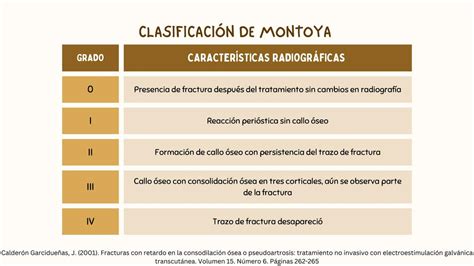 Clasificación de Montoya Yerhemy Martínez uDocz
