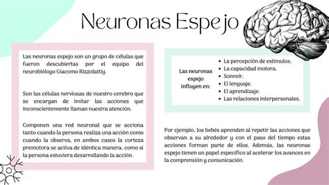 Neuronas Espejo Universo Ale UDocz