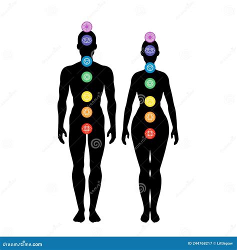 Siete Sistemas Chakra En Infografía Corporal Humana Con Silueta