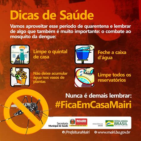 Prefeitura De Mairi Alerta Sobre Cuidados O Mosquito Da Dengue