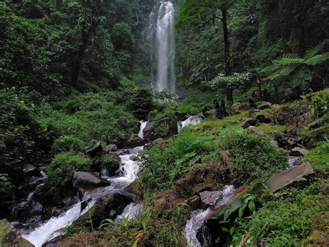 6 Destinasi Wisata Di Desa Wisata Ngesrepbalong Pesona Alam Yang